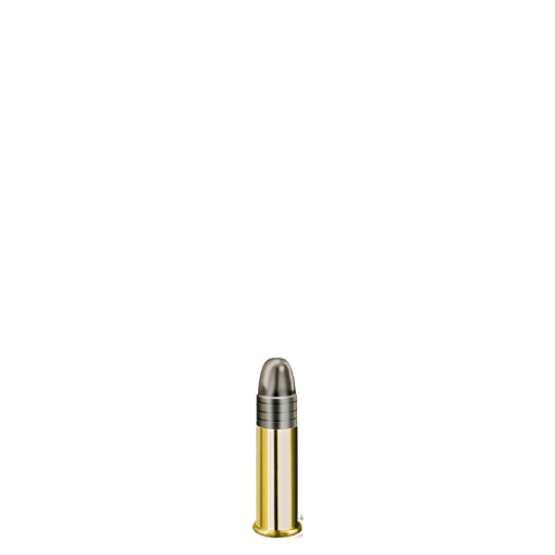 Calibre 22 en mm : guide essentiel des dimensions et usages